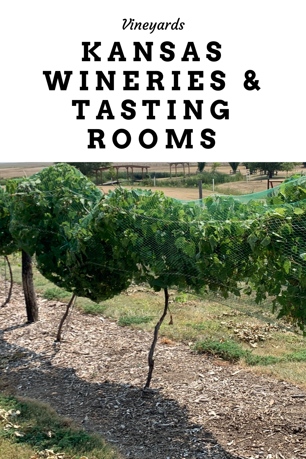 Kansas Wineries and Tasting Rooms Worth Experiencing - One Delightful Life