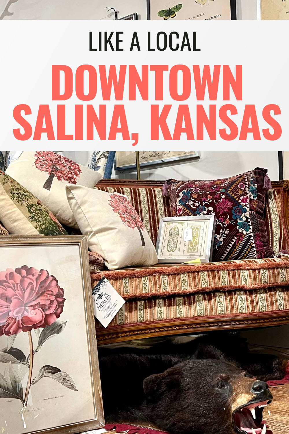 Experience Salina's Downtown Like a Local - One Delightful Life