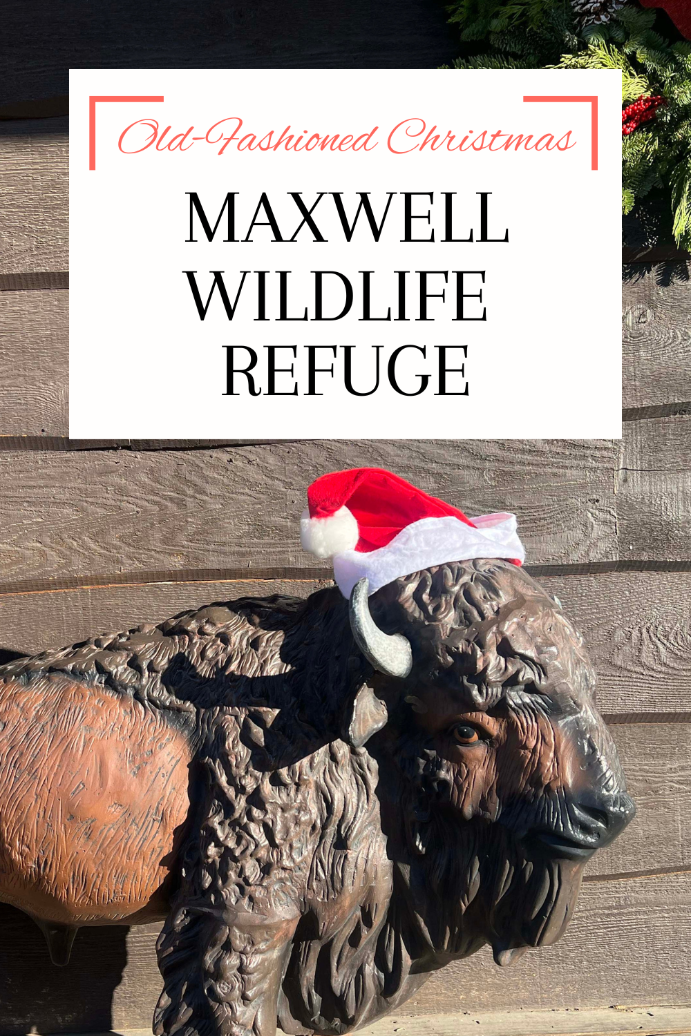 Celebrate an Old-Fashioned Christmas at Maxwell Wildlife Refuge - One ...