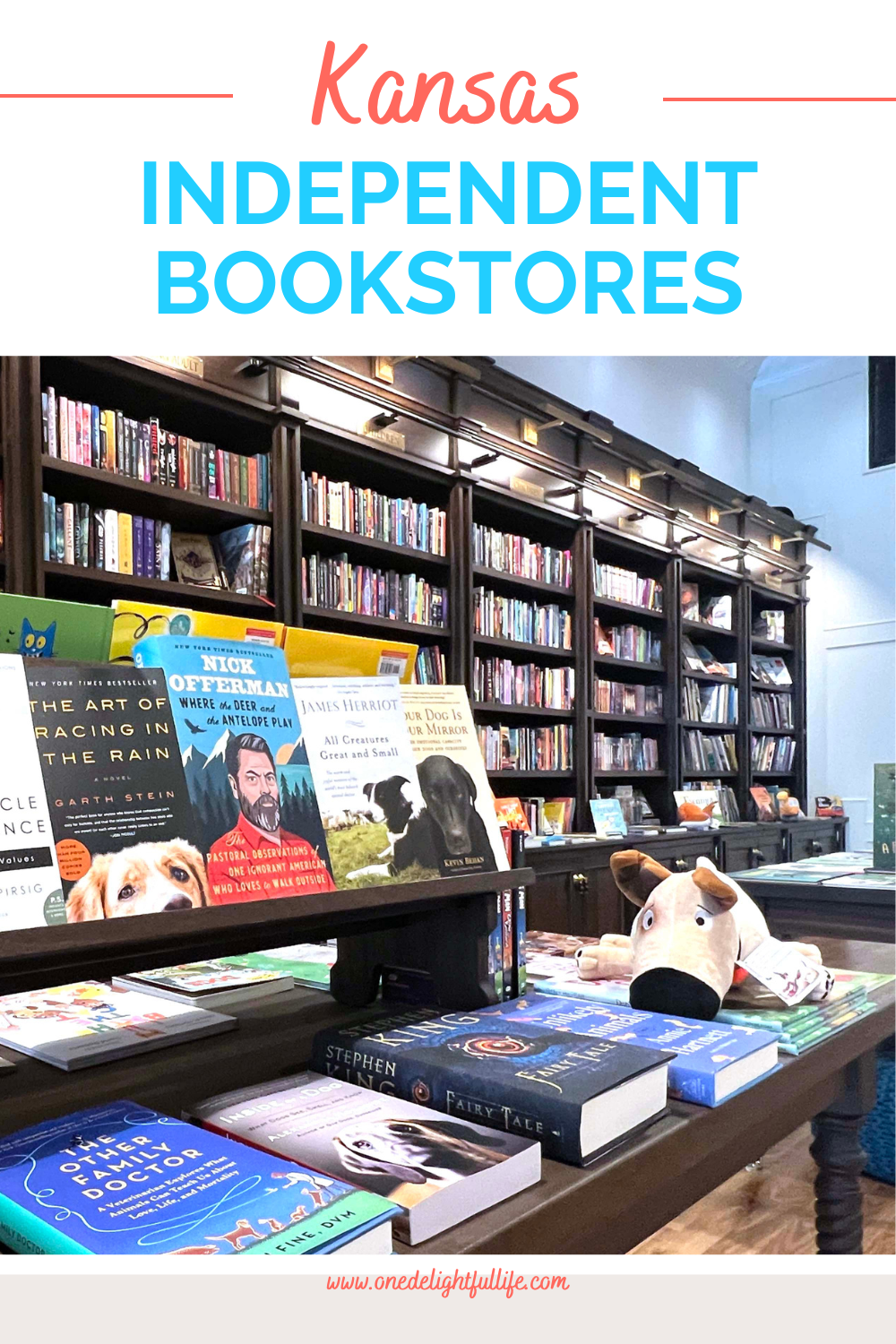 Bookworm's Paradise: Discover Kansas' Indie Bookstores - One Delightful ...