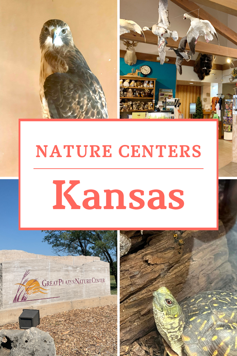 Indoor Nature Centers to Explore Year-Round in Kansas - One Delightful Life
